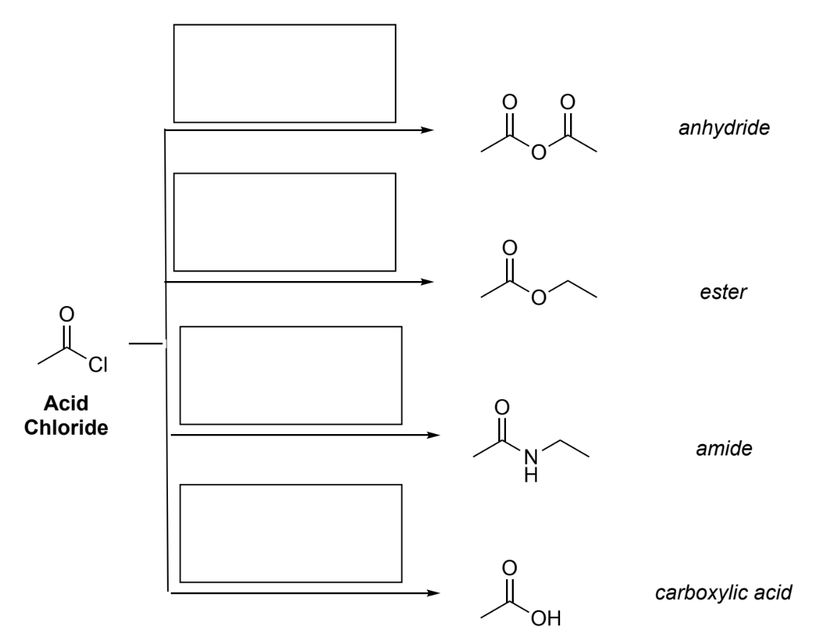 Solved anhydride ester Acid Chloride amide carboxylic acid | Chegg.com
