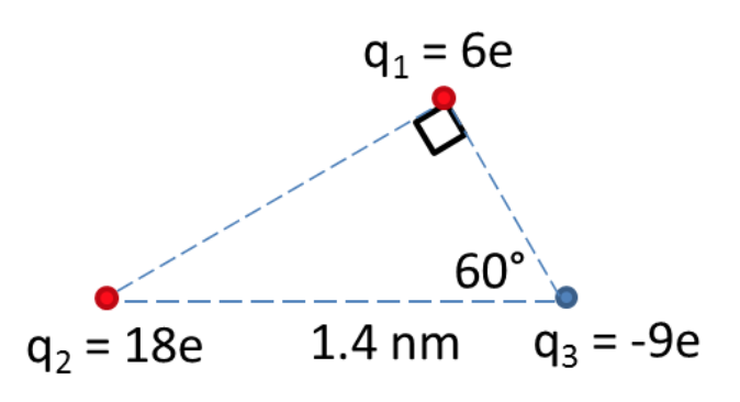 Solved Find the net force (magnitude and angle) on each of | Chegg.com