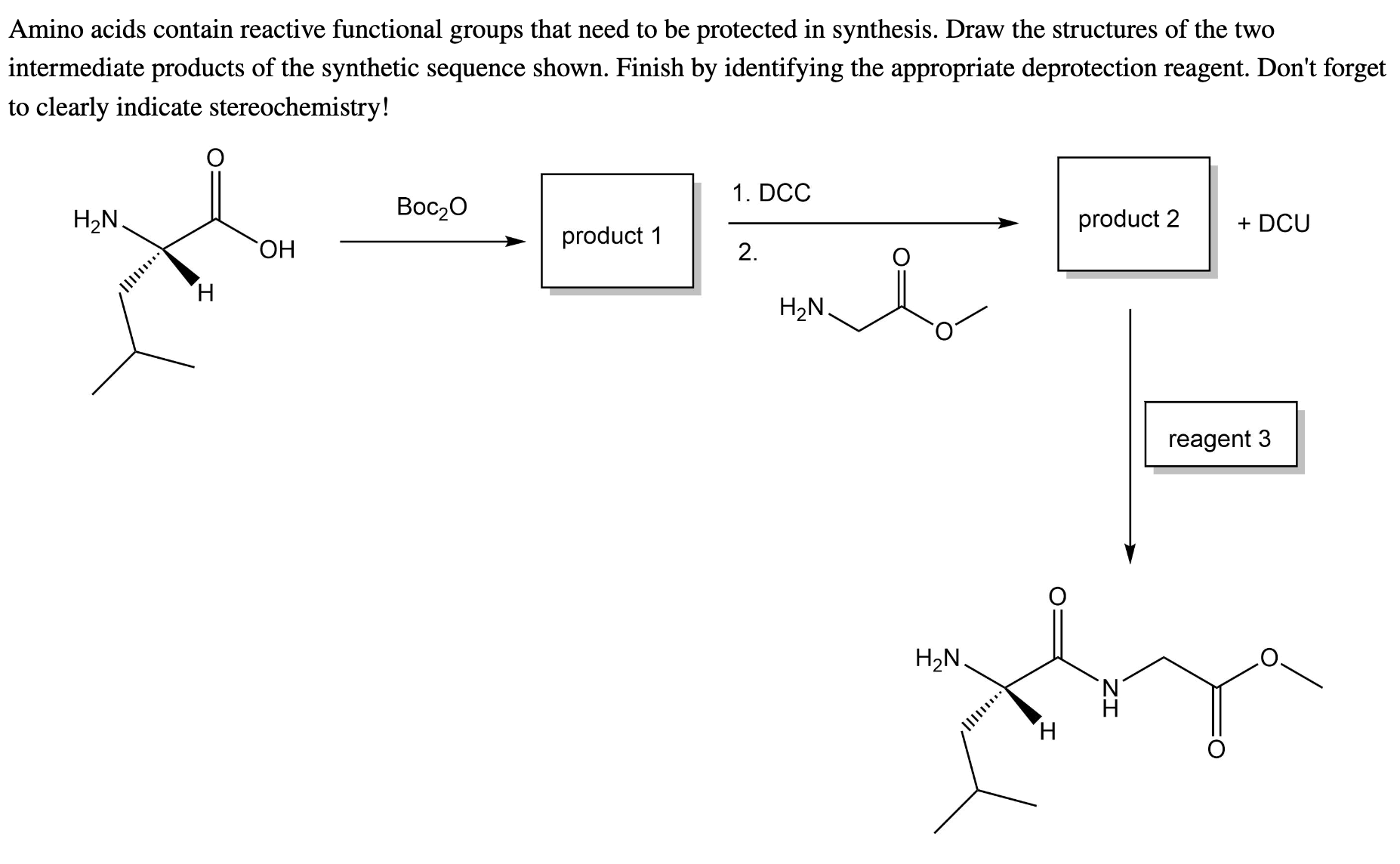 Solved Amino acids contain reactive functional groups that | Chegg.com