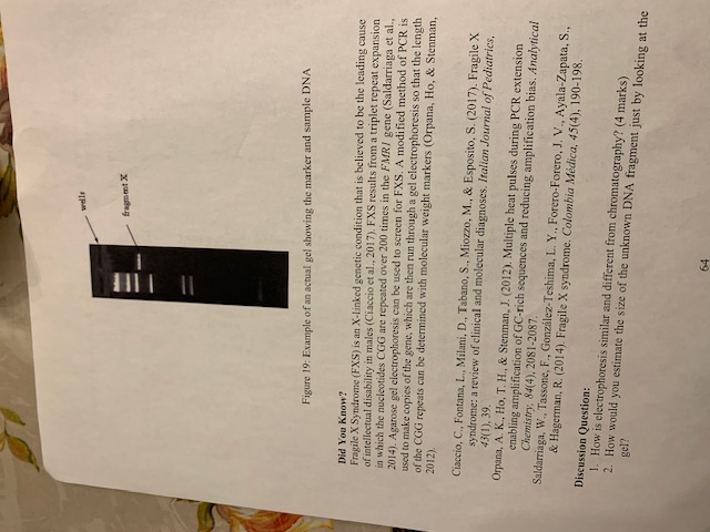 Solved 1. Upload a picture of the semi-log graph paper | Chegg.com