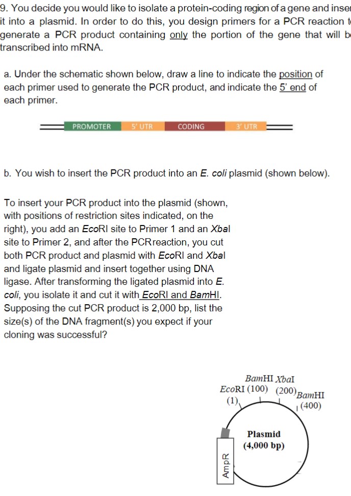 Solved Please explain how to do this. I was given the answer | Chegg.com