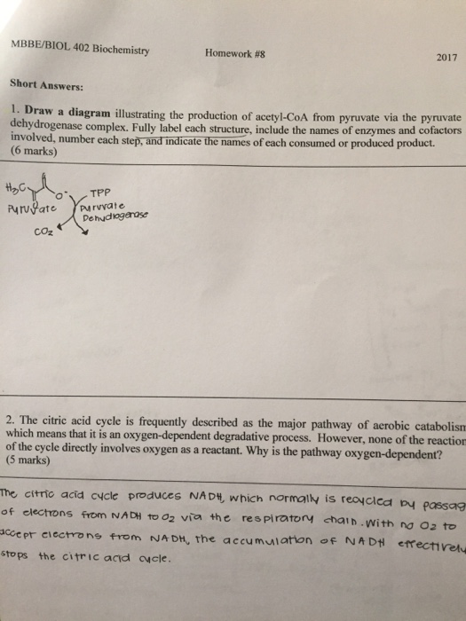 Solved MBBE/BIOL 402 Biochemistry Homework #8 2017 Short | Chegg.com