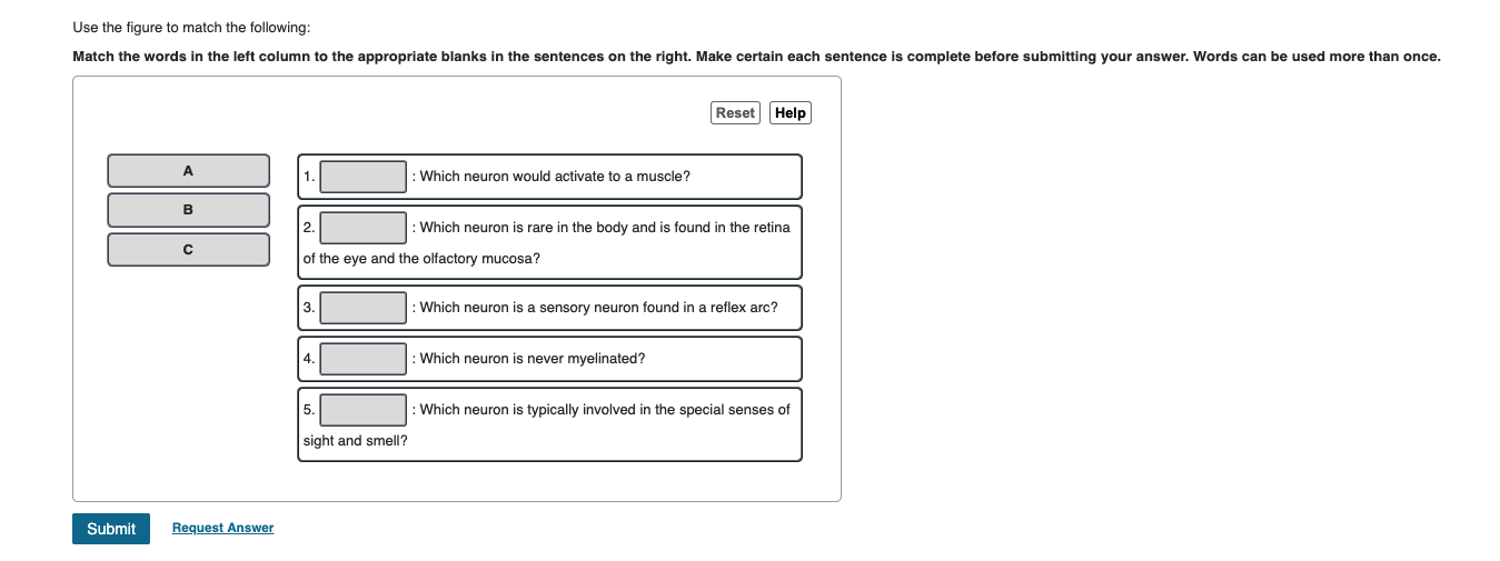 Solved Use the figure to match the following: Match the | Chegg.com