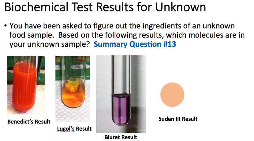 Solved Unknown Based on the results for your unknown | Chegg.com