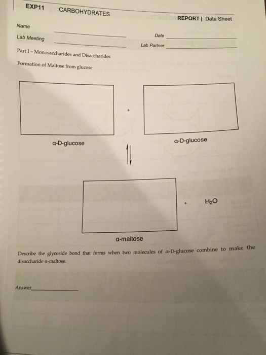 Solved EXP11 CARBOHYDRATES REPORT I Data Sheet Name Lab | Chegg.com