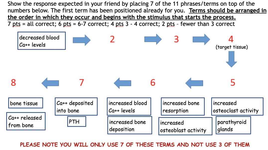 Solved This second feedback loop involves a hormone you | Chegg.com