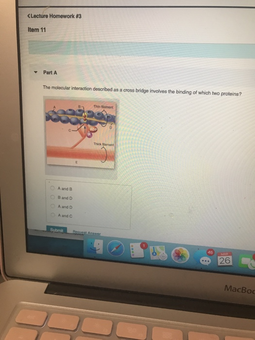 Solved Lecture Homework #3 Item 11 Part The molecular | Chegg.com