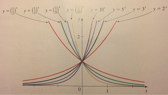 Solved Graph by using the family of exponential functions. | Chegg.com