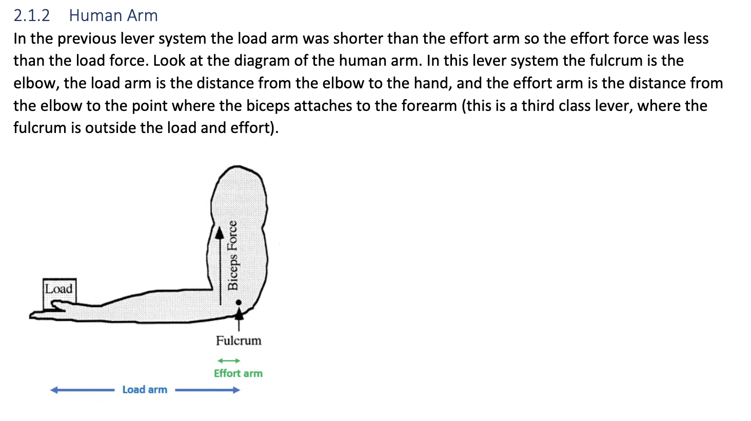 Solved 2.1.2 Human Arm In the previous lever system the load | Chegg.com