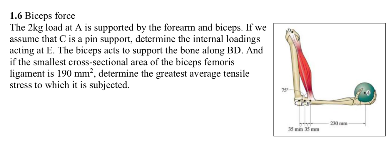 Solved 1.6 Biceps force The 2kg load at A is supported by | Chegg.com