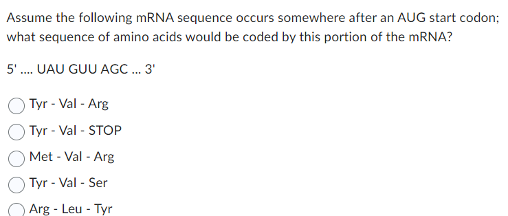 Solved answer this Assume the following mRNA sequence | Chegg.com