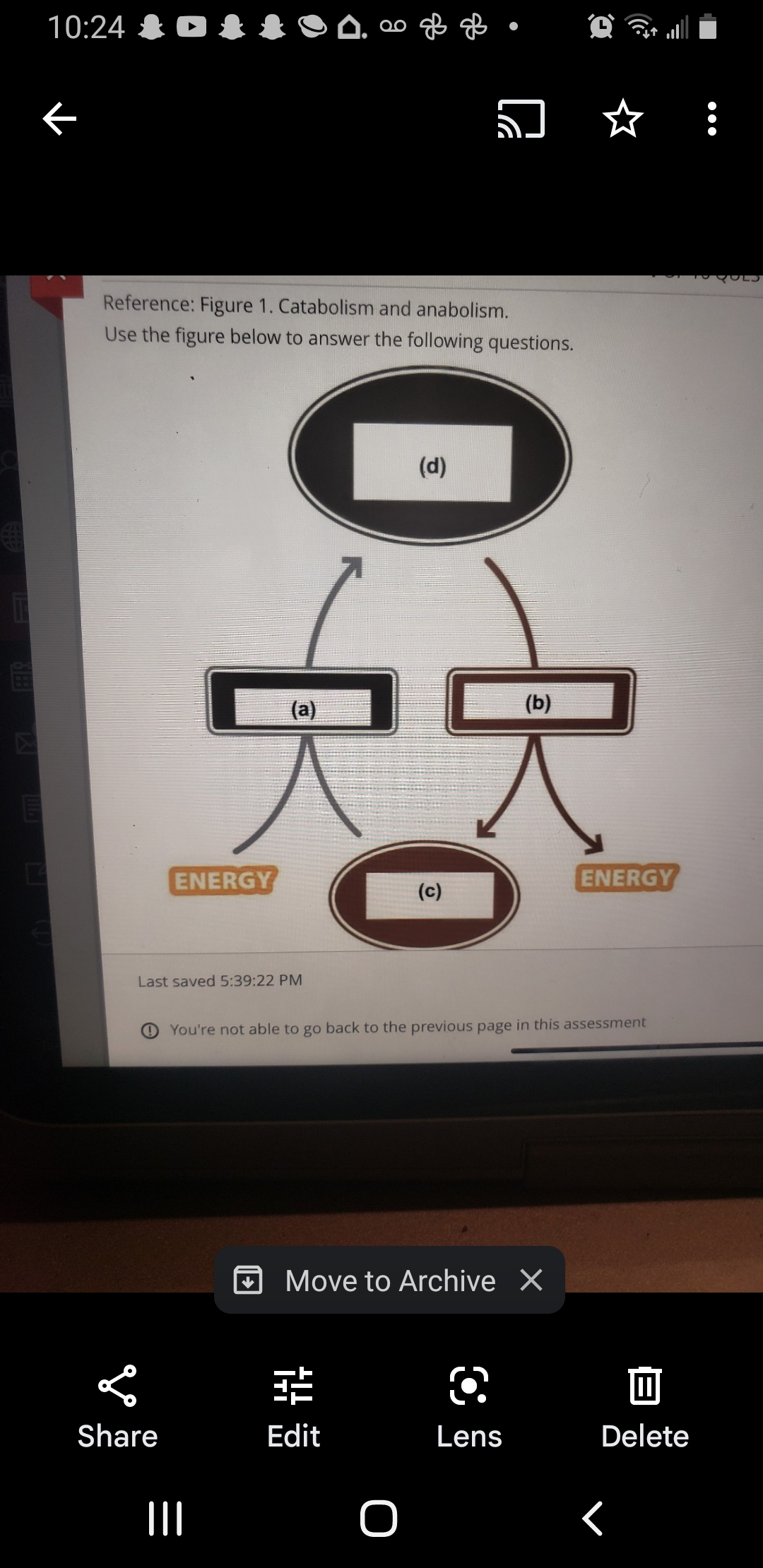 Solved Reference: Figure 1. Catabolism and anabolism. Use | Chegg.com