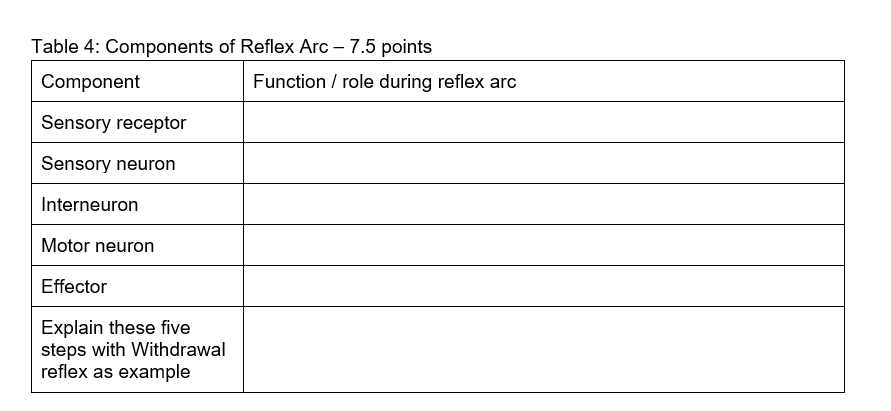 Solved Table 4: Components of Reflex Arc - 7.5 | Chegg.com