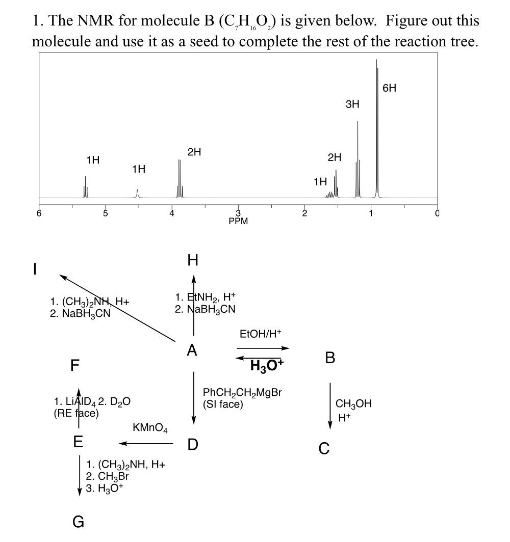 Solved 1. The NMR for molecule B(C7H16O2) is given below. | Chegg.com