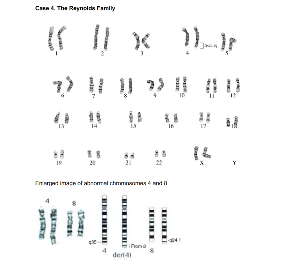 Solved Please help me with karyotype questions. Enlarged | Chegg.com