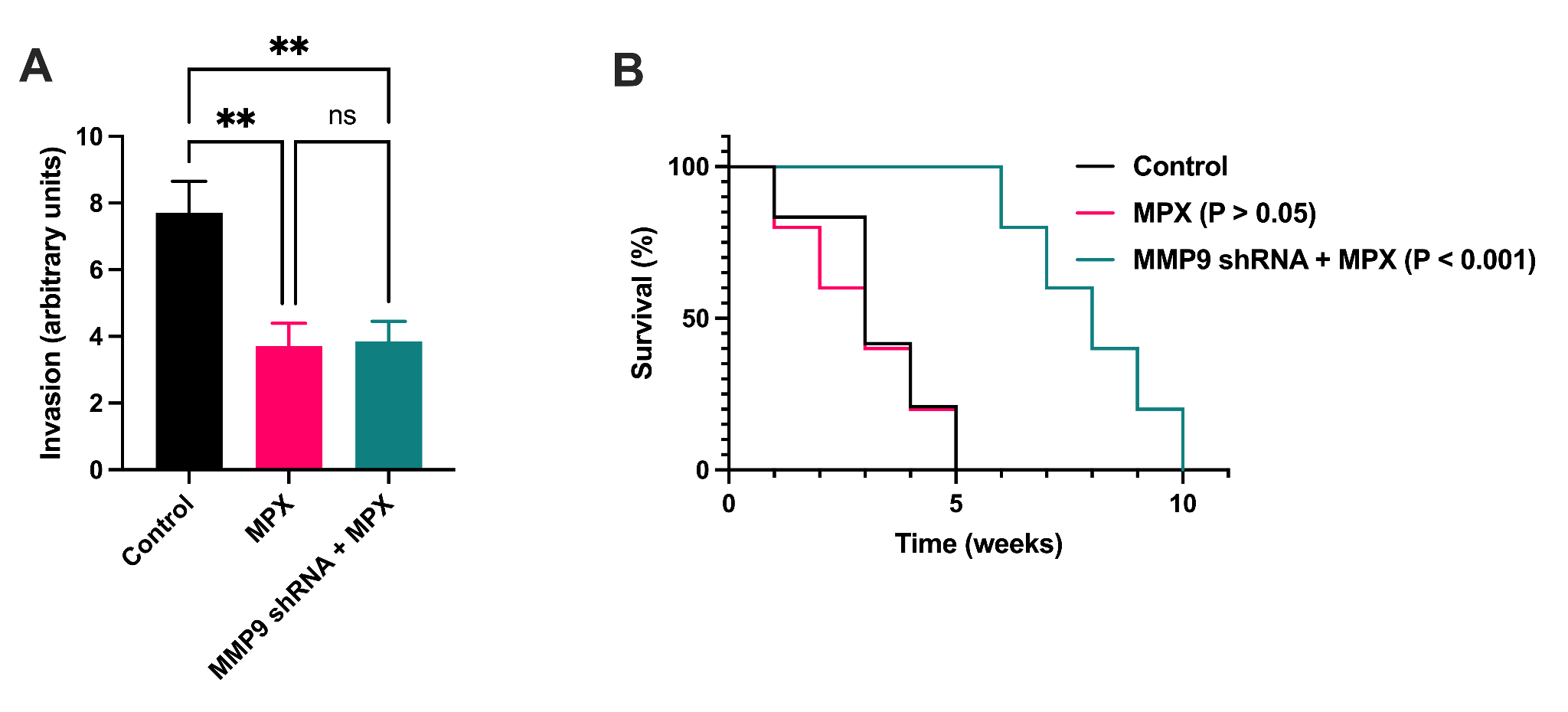 Solved In the below experiment, a new broad-spectrum matrix | Chegg.com
