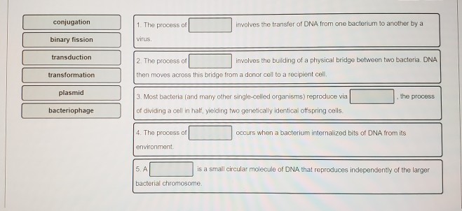 Solved conjugation binary fission transduction 1. The | Chegg.com