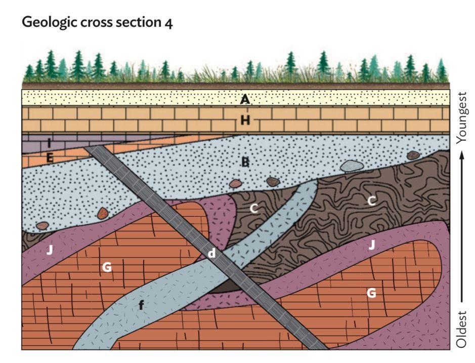 Solved (c) In geologic cross section 4 of Exercise 12.5, | Chegg.com