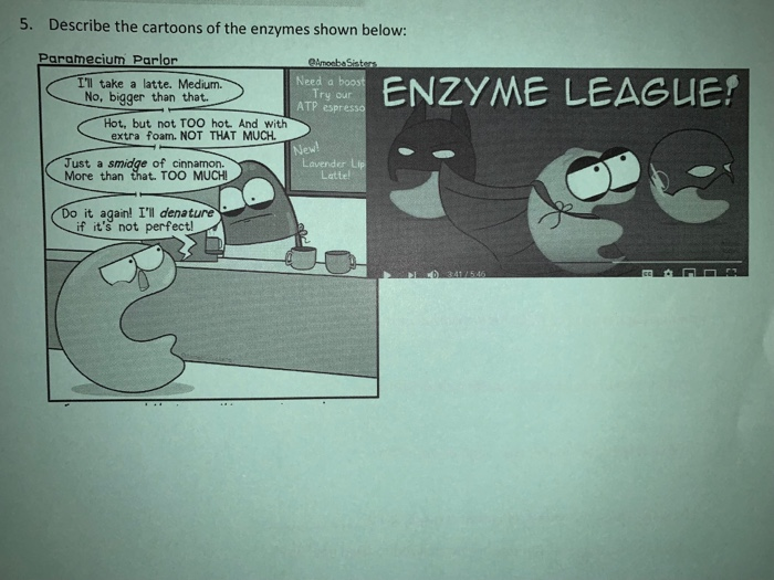 Solved 5. Describe the cartoons of the enzymes shown below: | Chegg.com