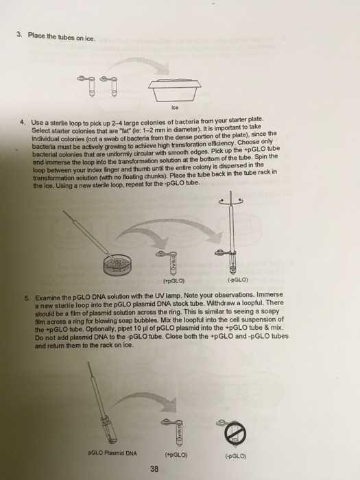 Solved Name Before collecting data and analyzing your | Chegg.com