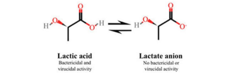 Solved Show the structures of lactic acid at pH 2.5, 3.86 | Chegg.com