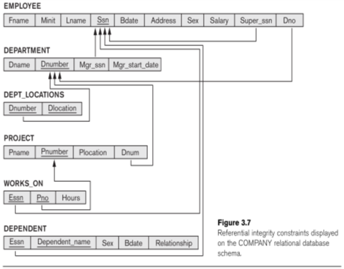 Solved In the context of the COMPANY database schema | Chegg.com
