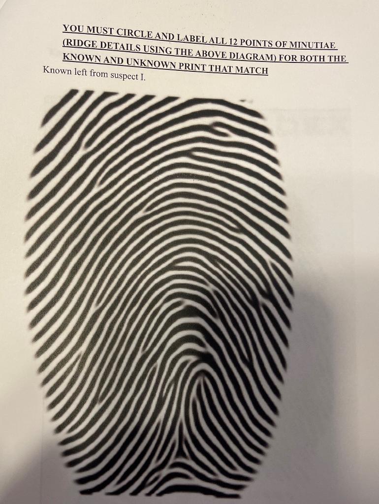 Solved Lesson 2 Fingerprints Worksheet 2.4 Try out the steps | Chegg.com