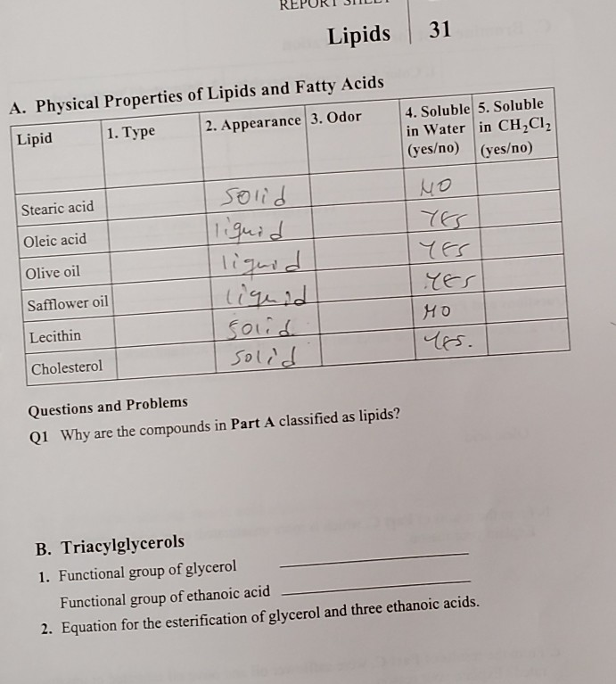 Solved REPURT OF Lipids 31 A. Physical Properties of Lipids | Chegg.com