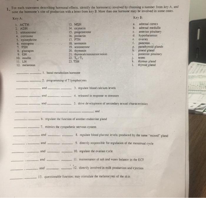Solved 1. For each statement describing hormonal effects, | Chegg.com