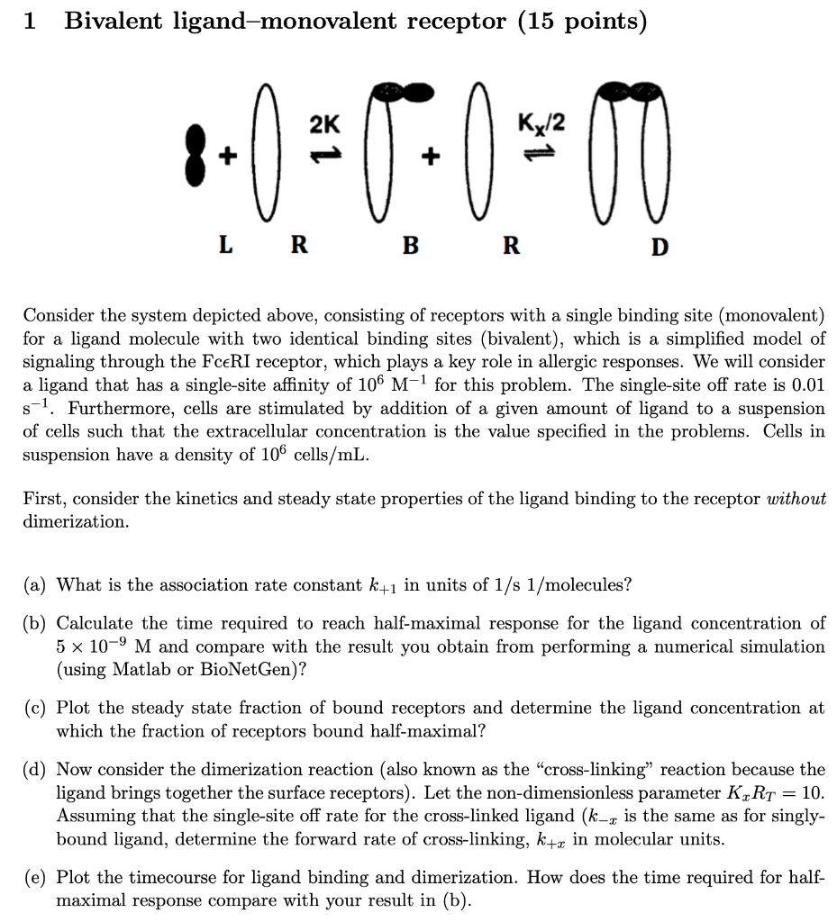 1 Bivalent ligand-monovalent receptor (15 points) | Chegg.com