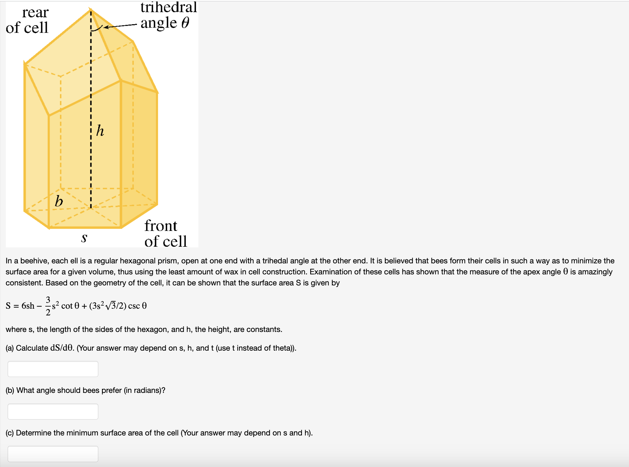 Solved In a beehive, each ell is a regular hexagonal prism, | Chegg.com