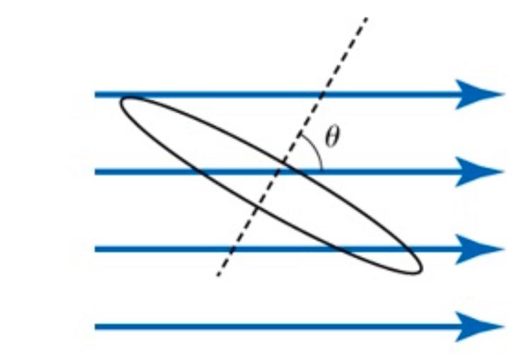 Solved A circular loop with radius, R = 10 cm is placed | Chegg.com