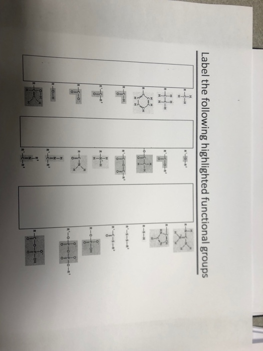 Solved Label the following highlighted functional groups | Chegg.com