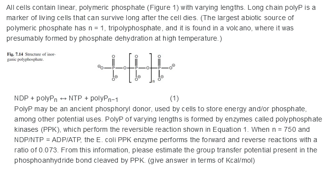 All cells contain linear, polymeric phosphate (Figure | Chegg.com