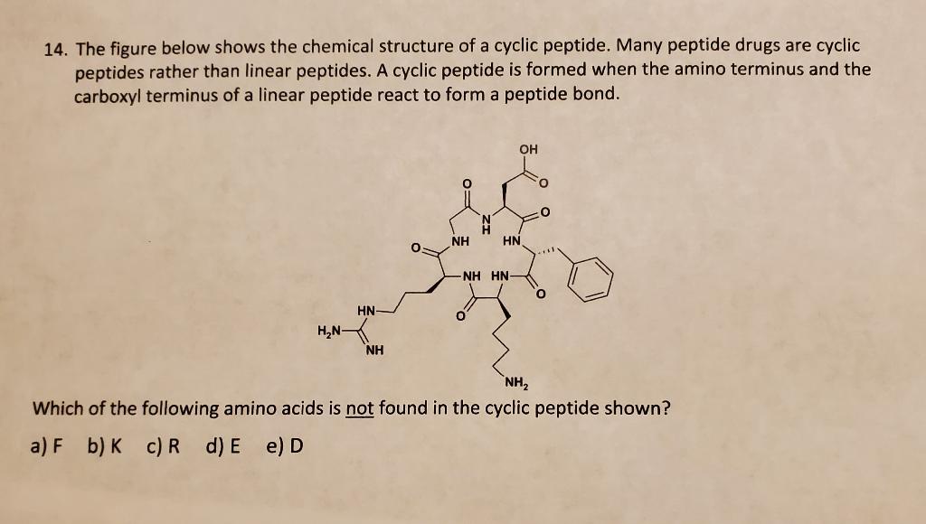 Solved 14. The figure below shows the chemical structure of | Chegg.com