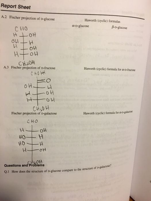 Solved Report Sheet A.2 Fischer projection of D-glucose | Chegg.com