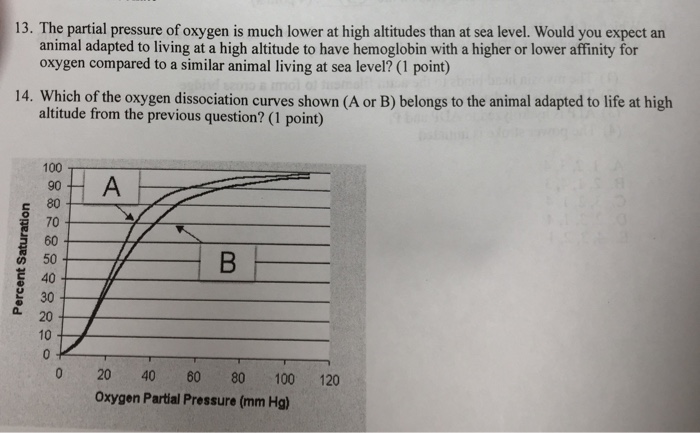 Solved 13. The partial pressure of oxygen is much lower at | Chegg.com