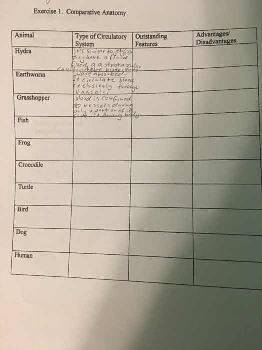 Solved Exercise 1 Comparative Anatomy Animal Type of | Chegg.com