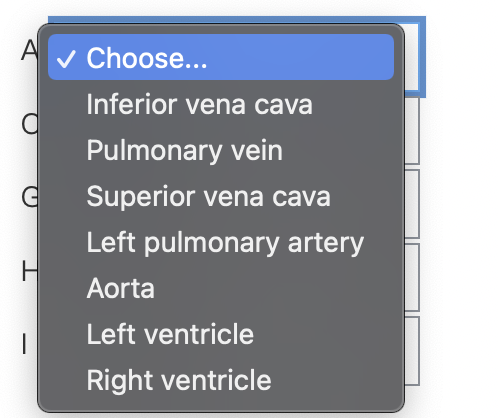 Solved Inferior vena cava Pulmonary vein Superior vena | Chegg.com