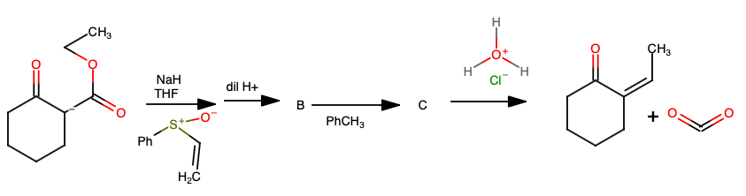 Solved CH3 CH3 H CI NaH THF dil H+ بل - B PhCH3 .S- + Ph H2C | Chegg.com