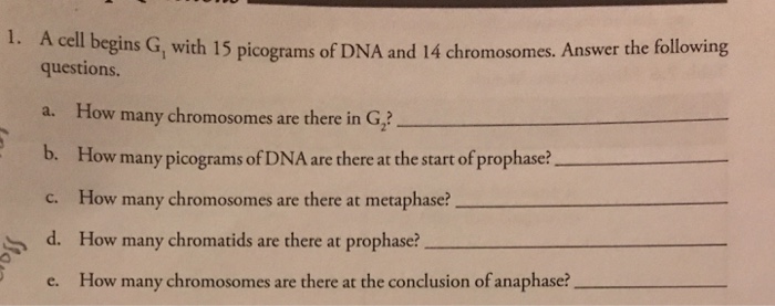 Solved :Acell begins G, with 15 picograms of DNA and 14 | Chegg.com
