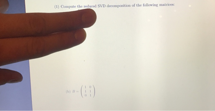 Solved (1) Compute the reduced SVD decomposition of the | Chegg.com
