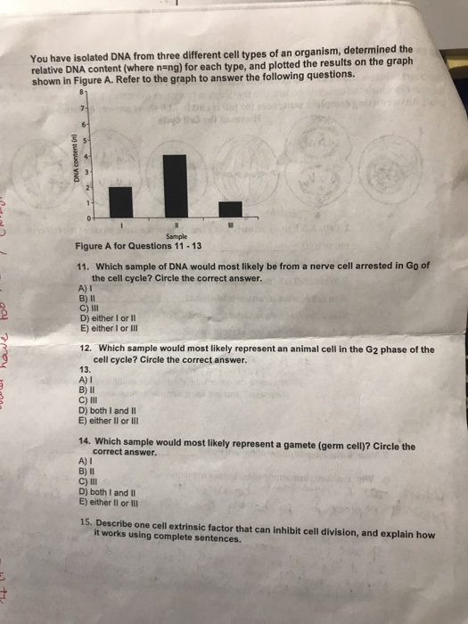 Solved You have isolated DNA from three different cell types | Chegg.com