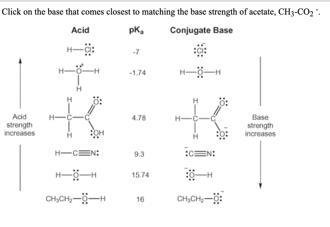 Solved Click on the base that comes closest to matching the | Chegg.com