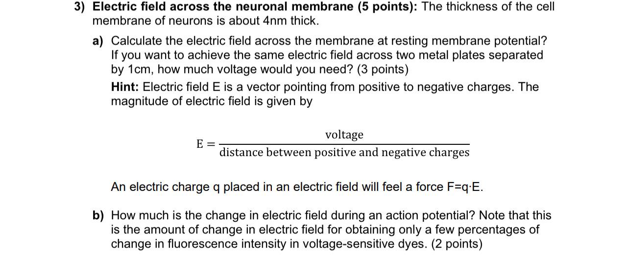Solved 3) Electric field across the neuronal membrane (5 | Chegg.com