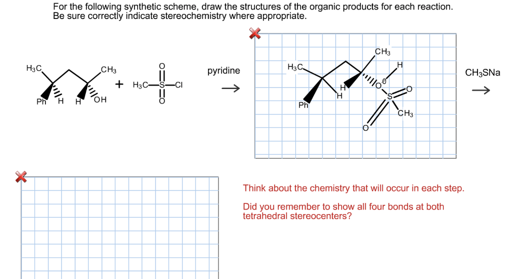 Solved For the following synthetic scheme, draw the | Chegg.com