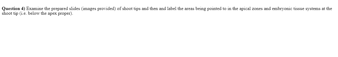 Solved QUESTION 4: Label the following shoot tip apical | Chegg.com