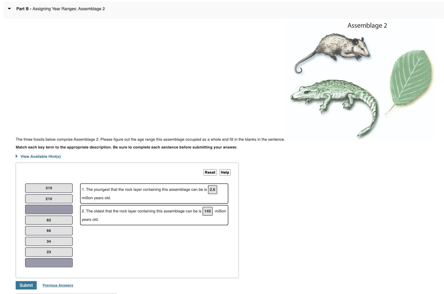Solved The two fossils below comprise Assemblage 3 . | Chegg.com