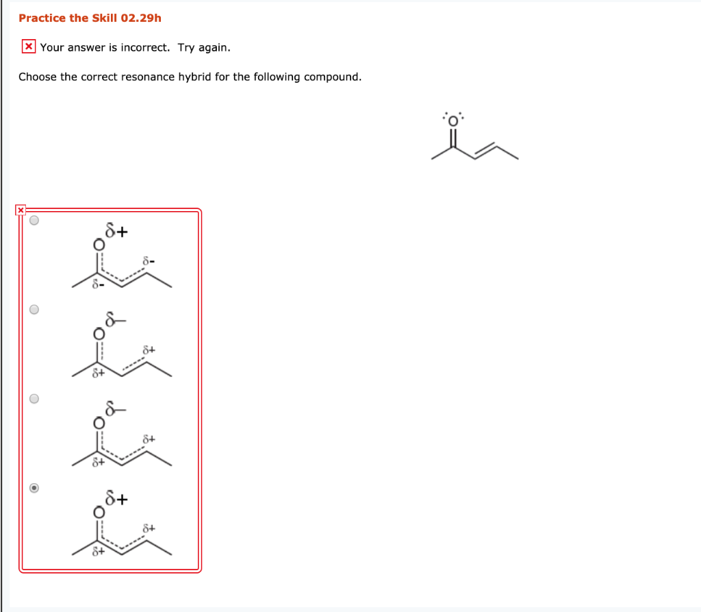 Solved Practice the Skill 02.29h x Your answer is incorrect. | Chegg.com