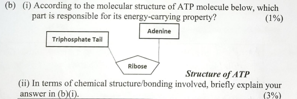 Solved Below diagram shows a reaction profile of ATP | Chegg.com